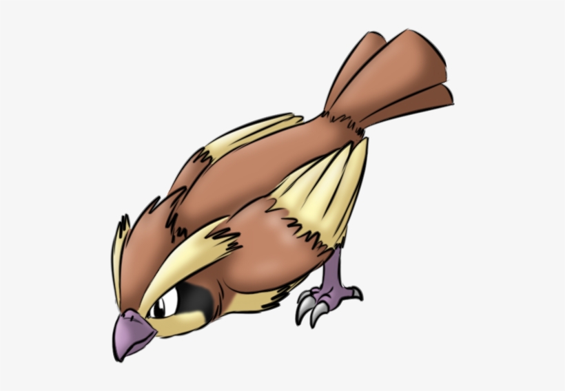 19kids - Pidgey Png PNG Image | Transparent PNG Free Download on SeekPNG