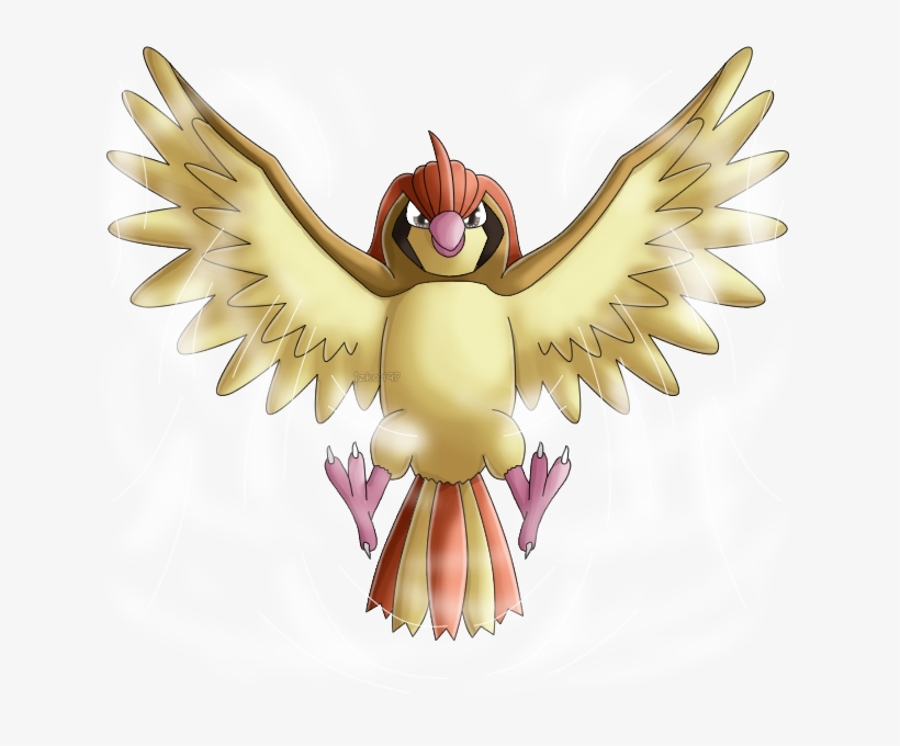 Download Pidgeotto Pokemon - Sexy Pidgeotto | Transparent PNG Download ...