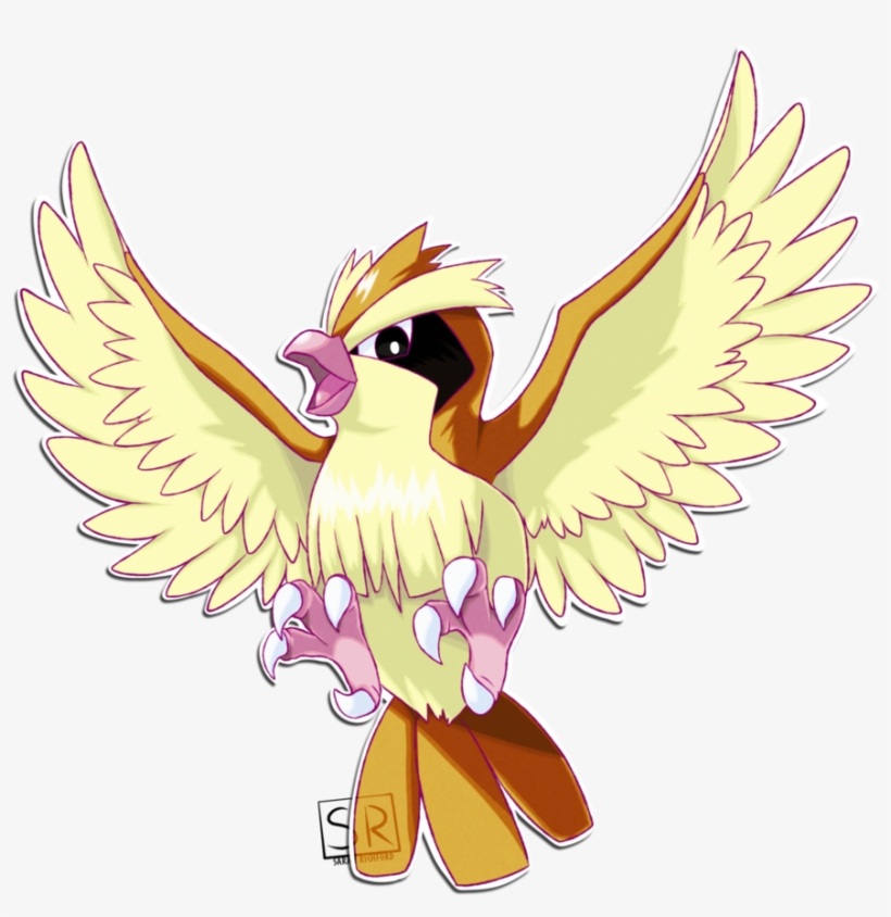 Pidgey Png PNG Image | Transparent PNG Free Download on SeekPNG