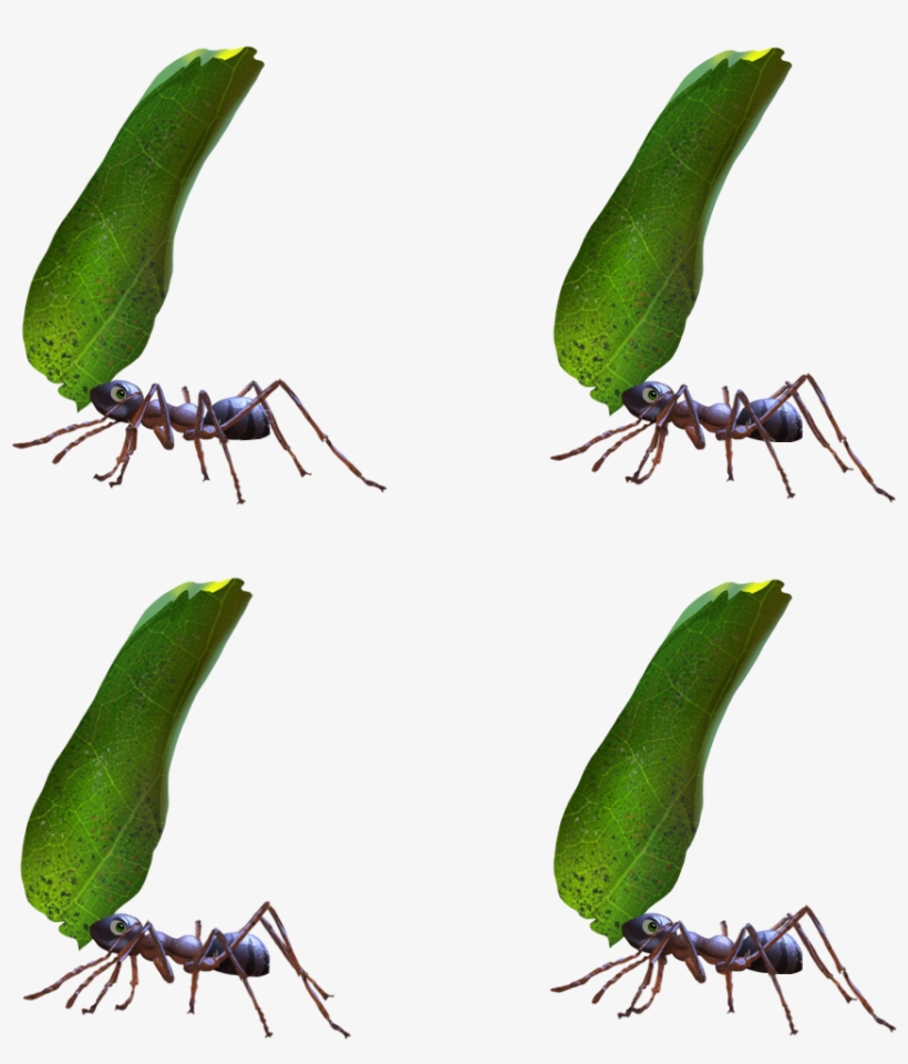 Ant2 - Crane Flies PNG Image | Transparent PNG Free Download on SeekPNG
