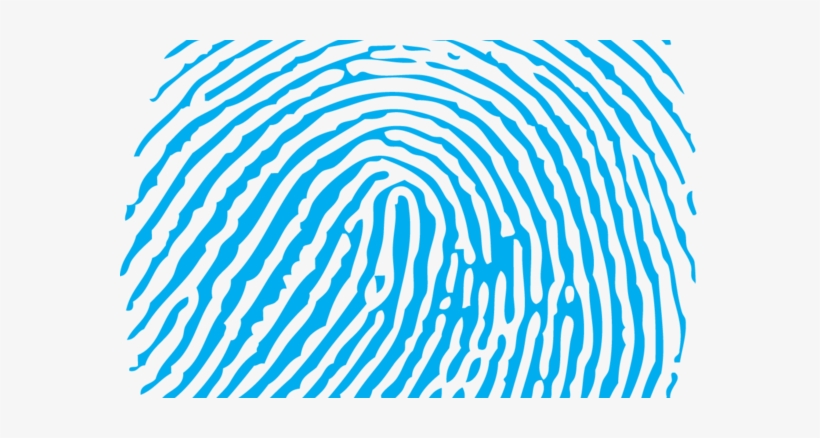 Fingerprint-pa - Fingerprint Vector PNG Image | Transparent PNG Free ...