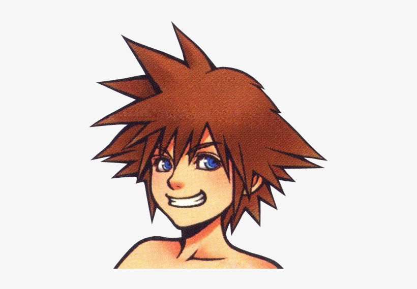 Sora Head Png - Kingdom Hearts PNG Image | Transparent PNG Free ...