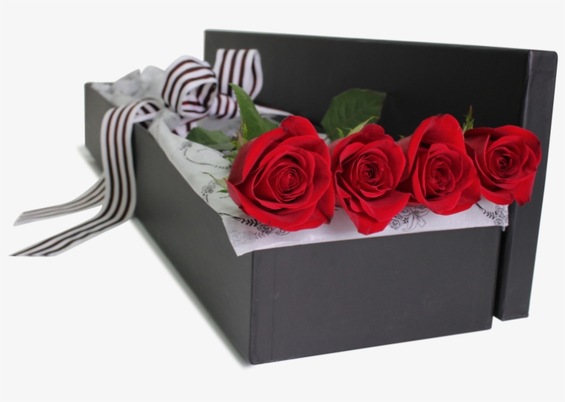 Boxed Red Roses 4 Stem - Garden Roses PNG Image | Transparent PNG Free ...