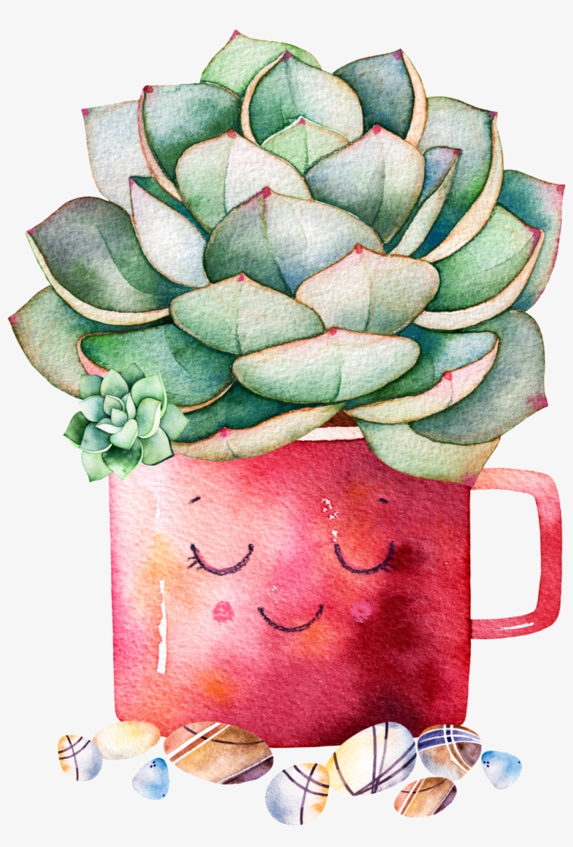 Lush Succulents Cartoon Transparent - Succulents Png Clip Art PNG Image ...