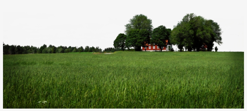 Landscape Png Image - Landscape Png PNG Image | Transparent PNG Free ...