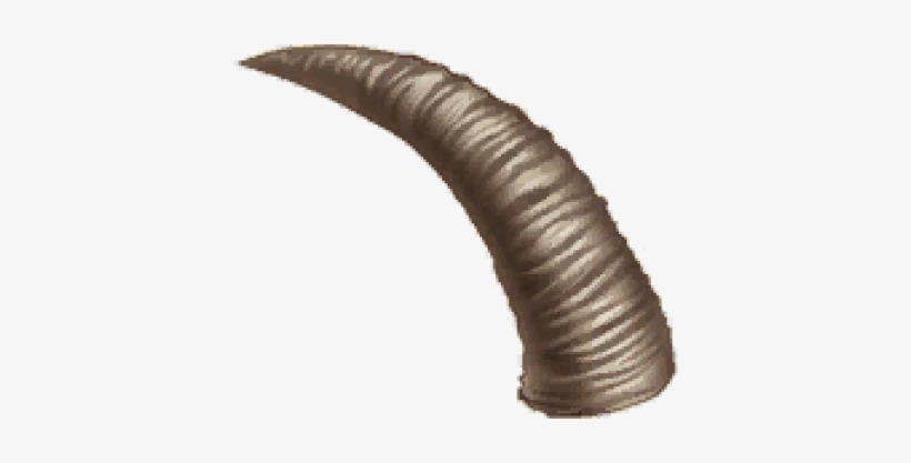 Goat Horn - Small Goat Horns Png PNG Image | Transparent PNG Free ...