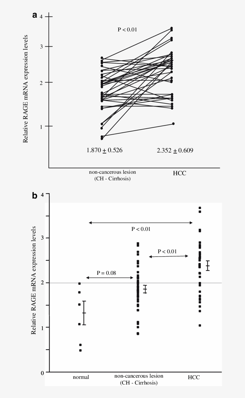 Quantitative Rage Mrna Expression In Paired Cancerous - Diagram PNG ...