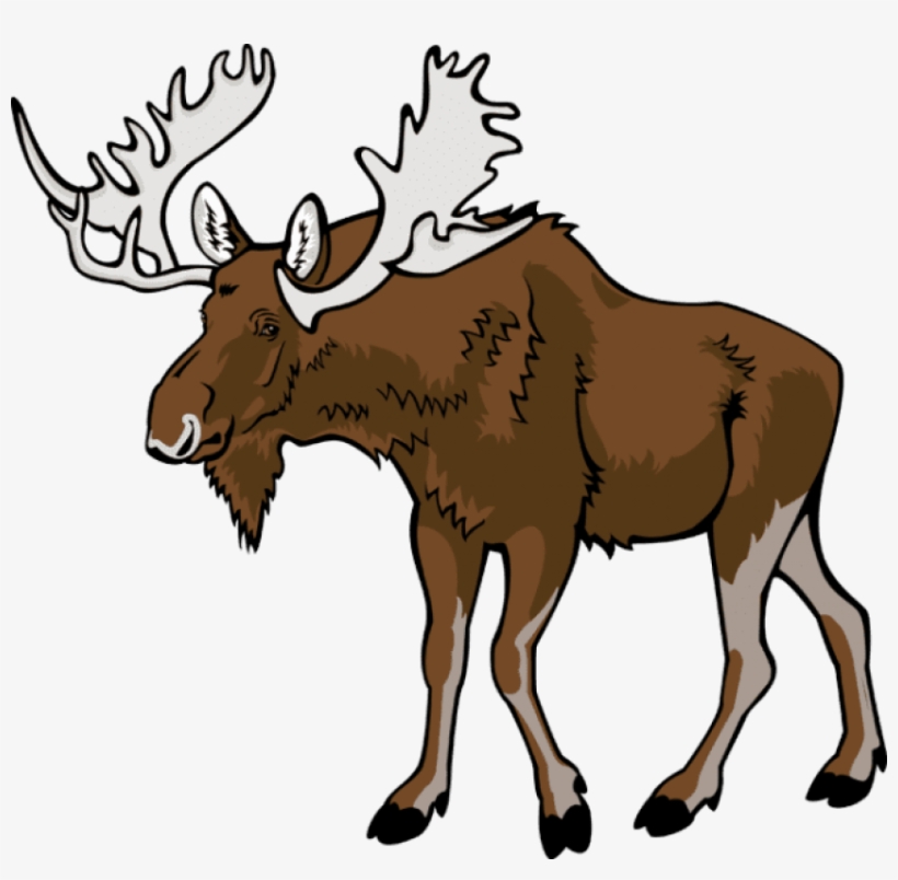 Free Png Moose Png Images Transparent - Clip Art Moose PNG Image ...