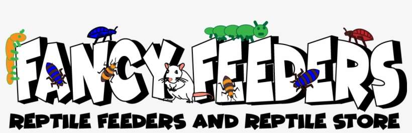 Fancy Graphic Design Pictures Logo Png Fancy Graphic - Logo PNG Image ...