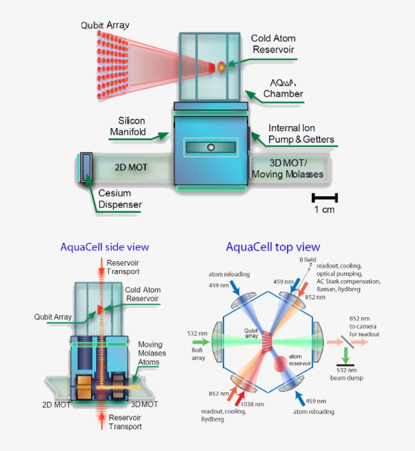 The Anderson Group Specifically Is Aimed At Creating - Diagram PNG ...