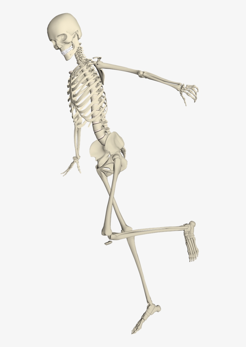 Download Skeleton Weis Fall Run Stumble Png Image - Skeleton Run ...