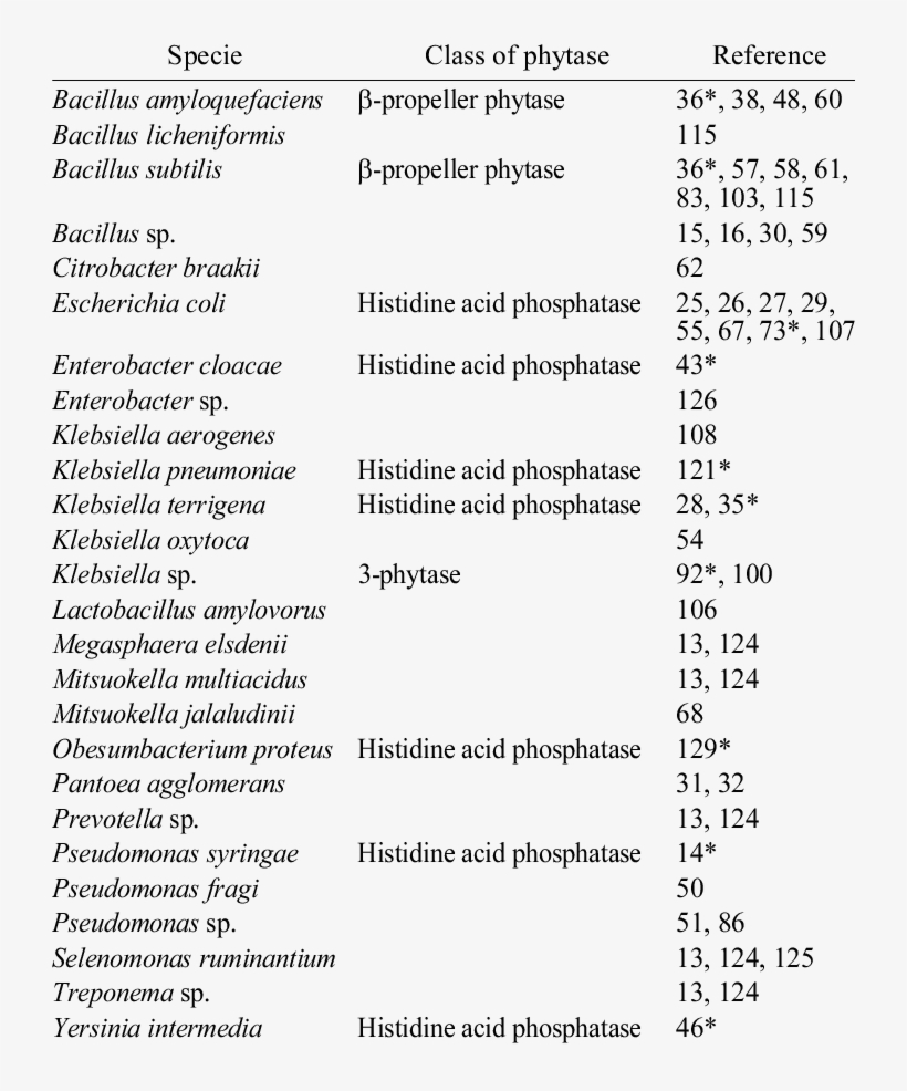 Reported Phytase-producing Bacteria - Phytase Producing Bacteria PNG ...