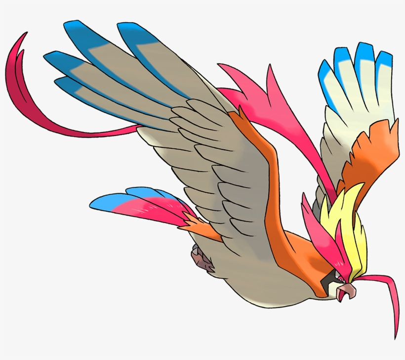 Important Notice Pokemon Shiny Mega Pidgeot Is A Fictional - Pokemon ...