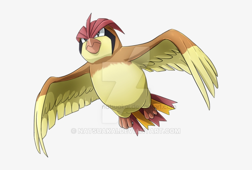 Pigiotto - Pidgeotto Png PNG Image | Transparent PNG Free Download on ...