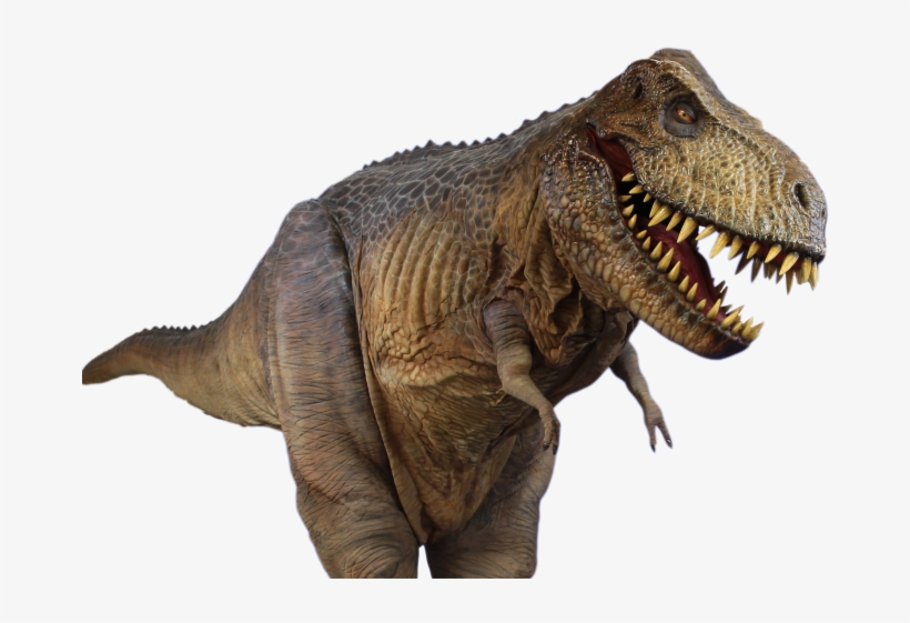 T Rex Png Transparent Hd Photo - T Rex Png Transparent PNG Image ...