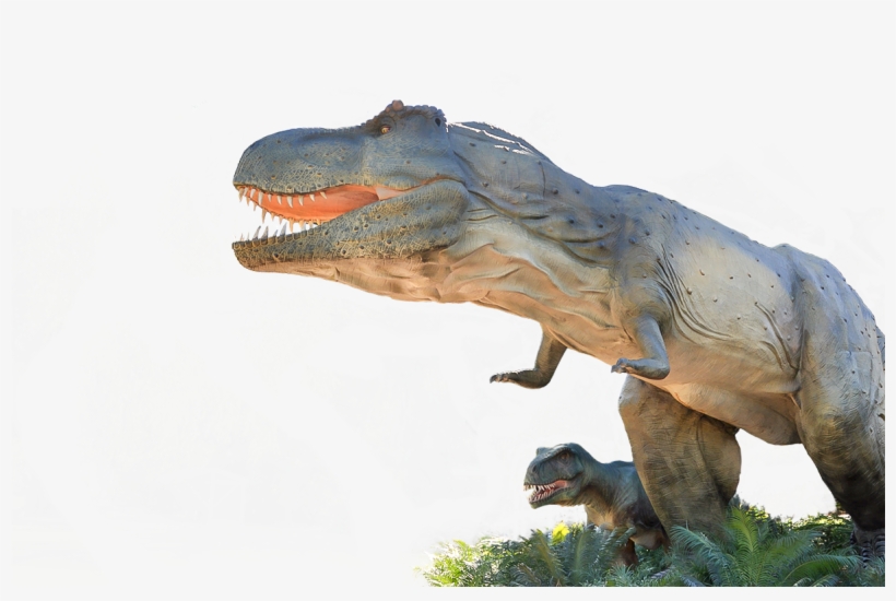 T-rex - Adelaide Zoo PNG Image | Transparent PNG Free Download on SeekPNG