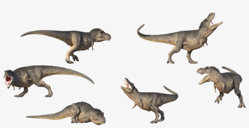 T Rex Png Transparent Image - Tyrannosaurus Rex Reference PNG Image ...