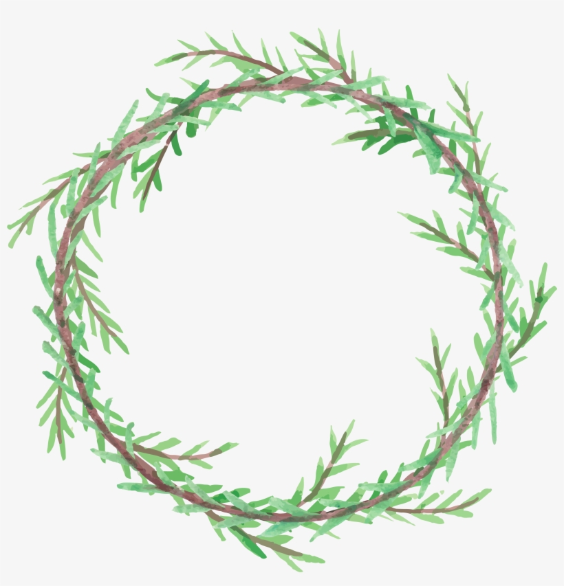 Juniper Drawing Watercolor - Wreath PNG Image | Transparent PNG Free ...