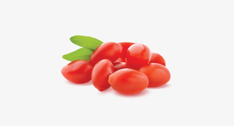 Modern Research Has Been Studying The Berries And Confirming - Goji ...