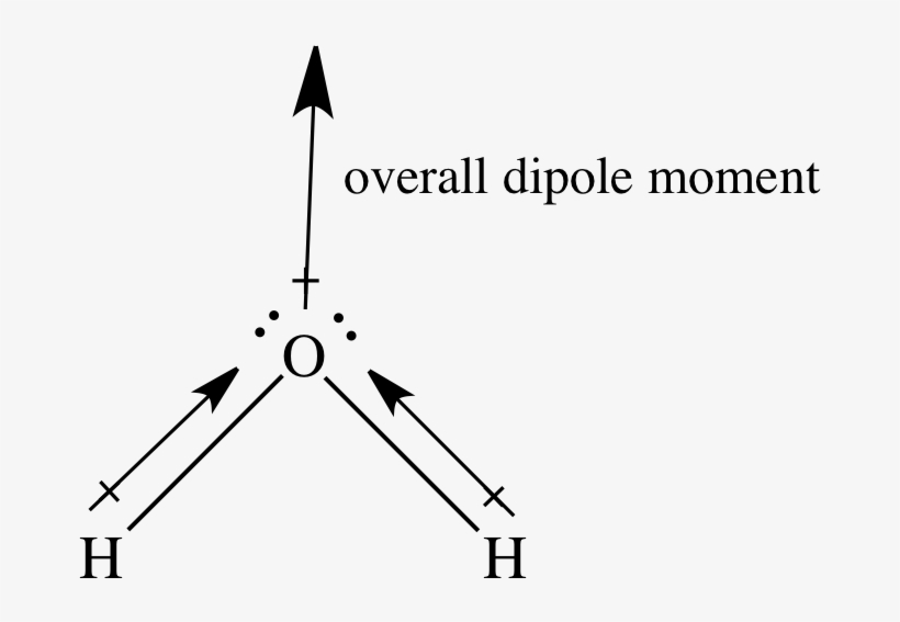 Download In The Case Of Water, The Two Bond Dipoles Arrows Are - Hcn ...