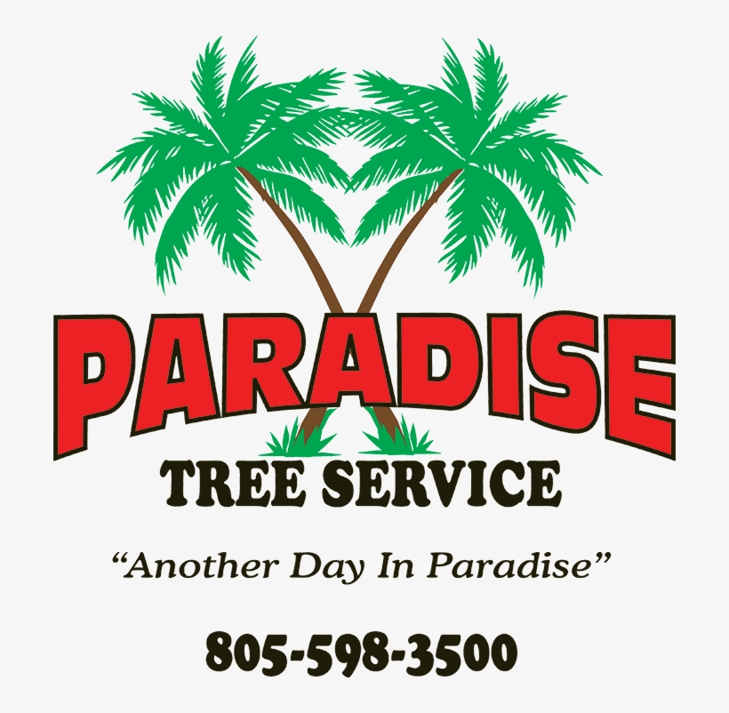 Follow Us Amenu - Paradise Tree Service PNG Image | Transparent PNG ...