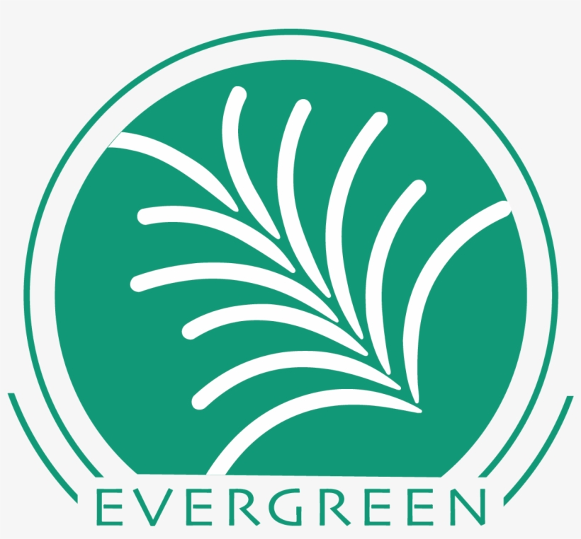 Evergreen Trademark Policy - Evergreen PNG Image | Transparent PNG Free ...