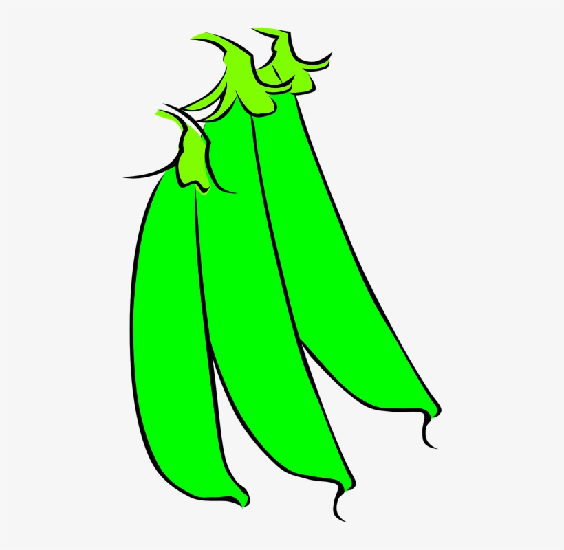 Peas Clipart Snow Pea - Snow Pea Clip Art PNG Image | Transparent PNG ...