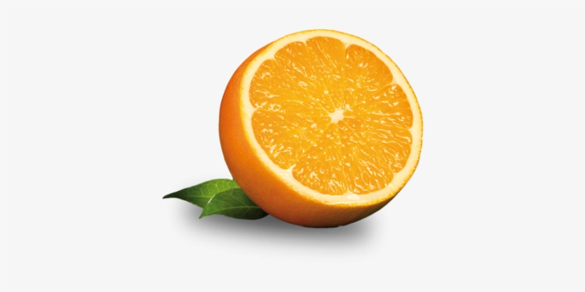 Orange PNG Image | Transparent PNG Free Download on SeekPNG