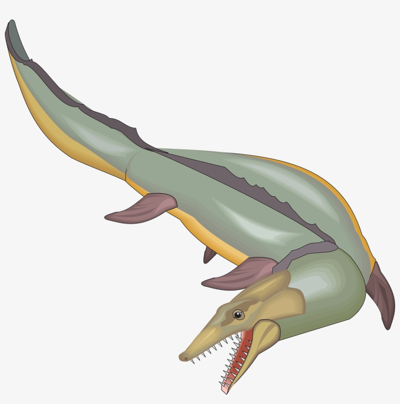Mosasaurus Clipart PNG Image | Transparent PNG Free Download on SeekPNG