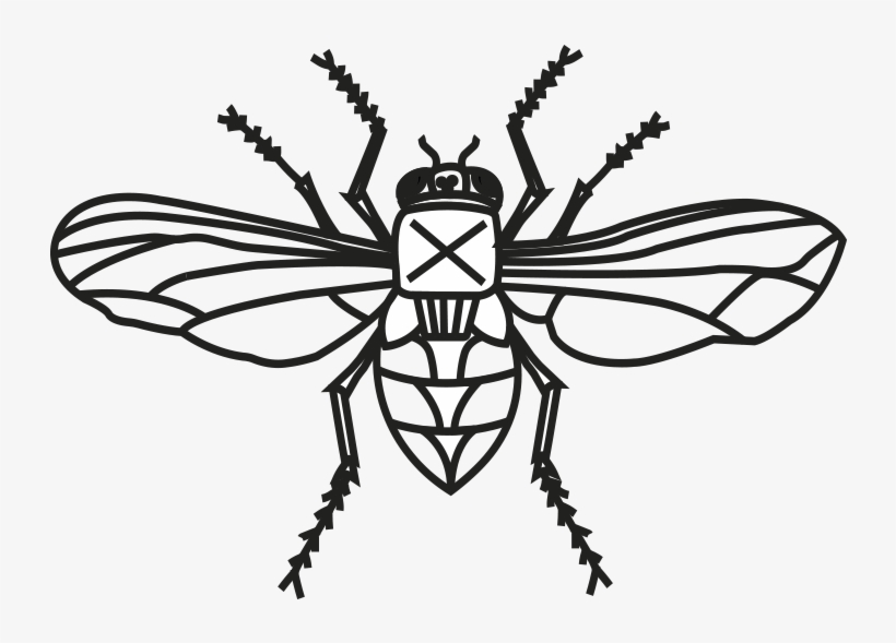 Fly Logo - T-shirt PNG Image | Transparent PNG Free Download on SeekPNG