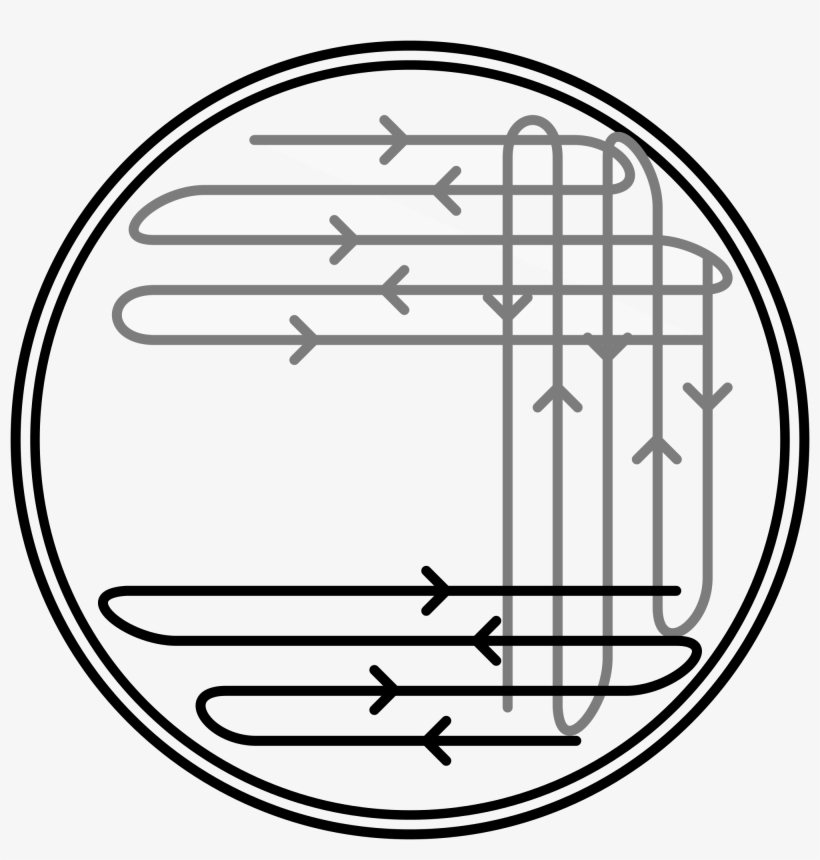 Open - Thumbnail PNG Image | Transparent PNG Free Download on SeekPNG