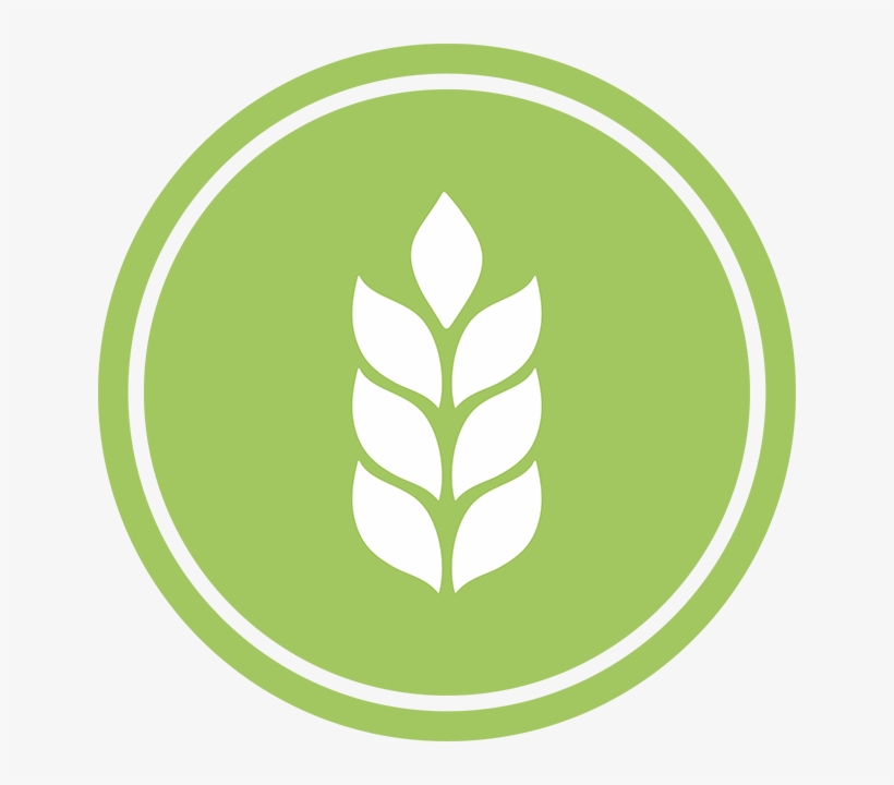 Food And Agriculture In Png - Food And Agriculture Icon PNG Image ...