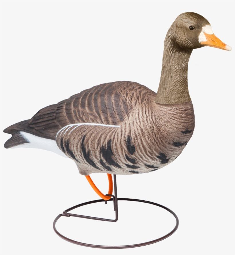Field Speckle Bellies Sentry Goose Hunting Decoy From - Decoy PNG Image ...