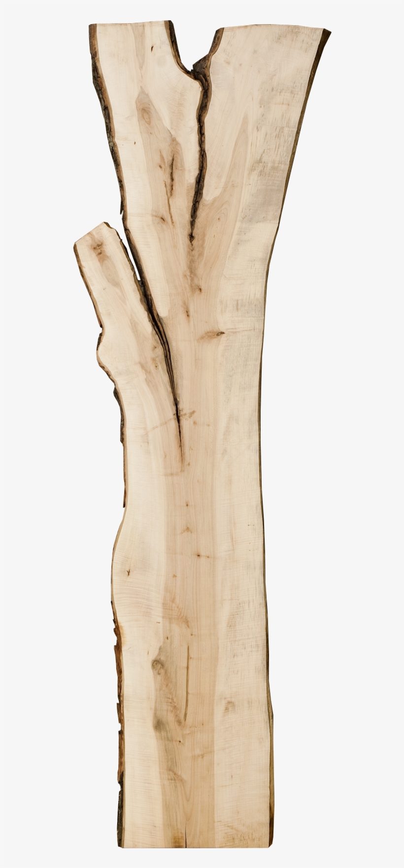 Live Edge Tree - Live Edge PNG Image | Transparent PNG Free Download on ...