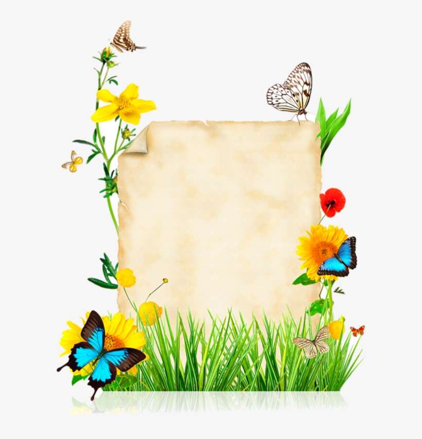 Parchemins - Butterfly Borders And Frames PNG Image | Transparent PNG ...