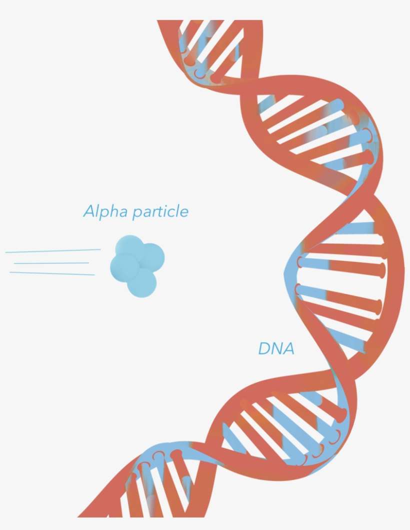 Dna Alpha Particle Collision - Dna PNG Image | Transparent PNG Free ...