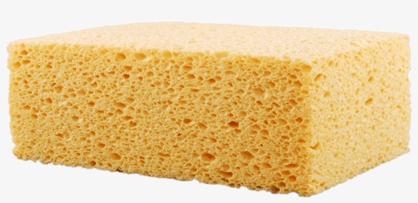 Download Objects - Sponge | Transparent PNG Download | SeekPNG