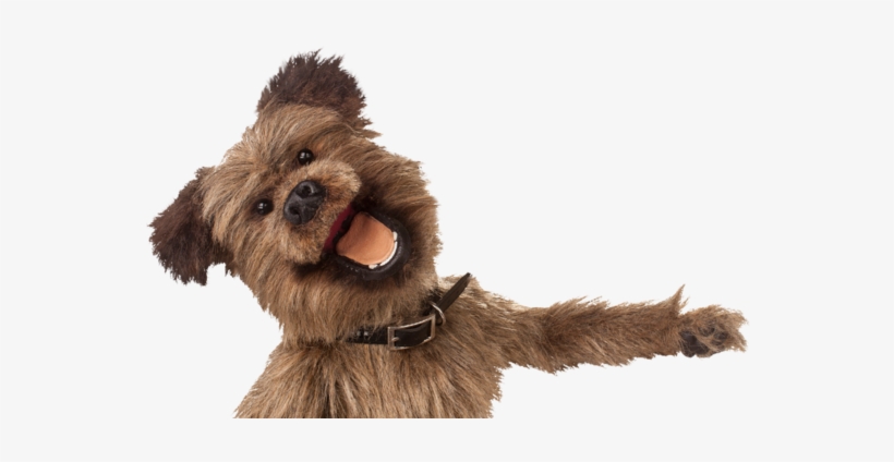 Start Your Search Here - Hacker T Dog Png PNG Image | Transparent PNG ...