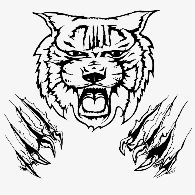 Kentucky Wildcats Football Logo Clip Art - Wildcat Drawing PNG Image ...