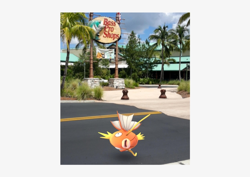 Pokémon Go PNG Image | Transparent PNG Free Download on SeekPNG