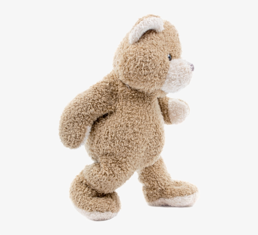 Teddy Bear White Background PNG Image | Transparent PNG Free Download ...