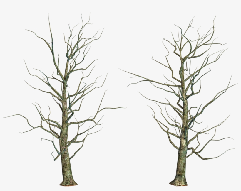 Baseball Bats Png - Tree PNG Image | Transparent PNG Free Download on ...