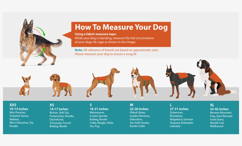 Download Emotional Support Dog Training - Service Dog Types Chart ...