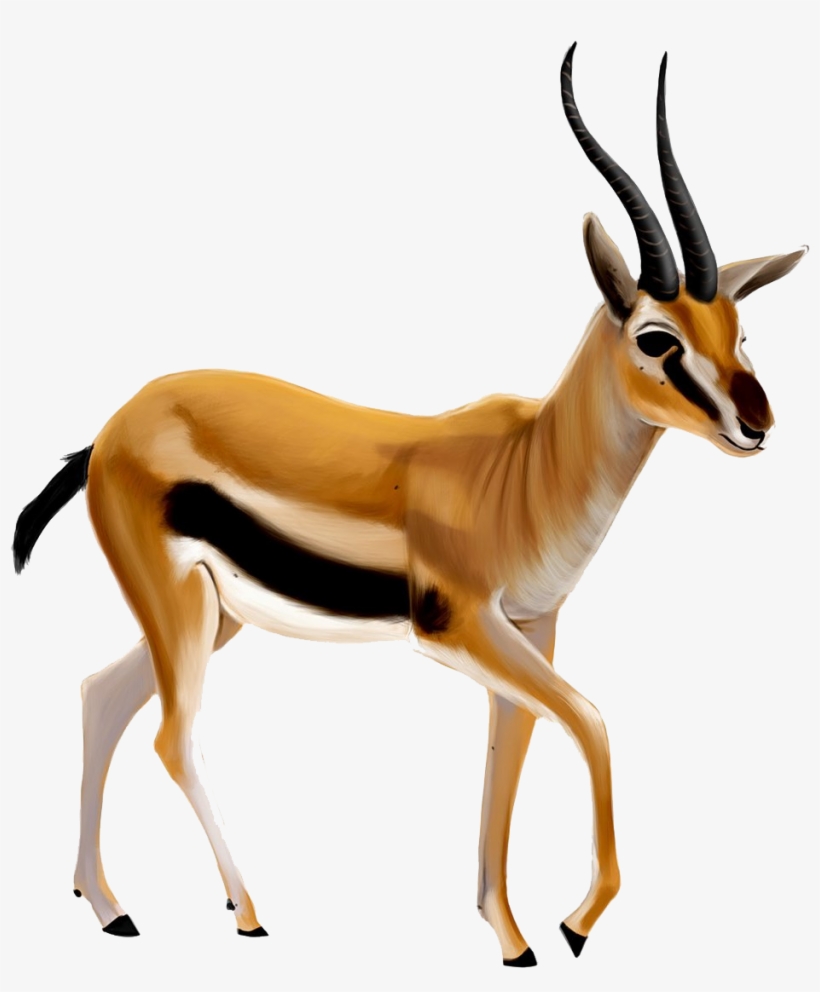 Gazelles Clipart Flower
