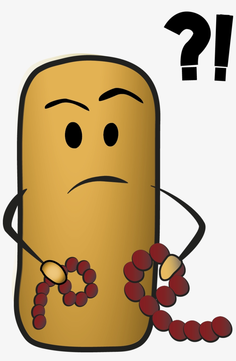 Sensing Of Pathogens - Bacillus Cartoon PNG Image | Transparent PNG ...