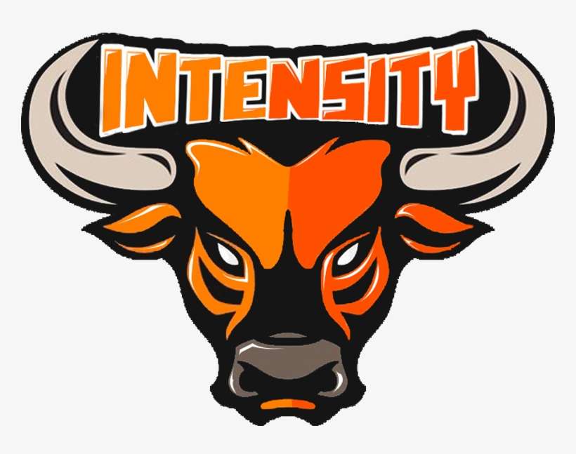 Intensity Logo By Limitlessconcepts - Vinyl Stickers Decals Vinyl Bull ...