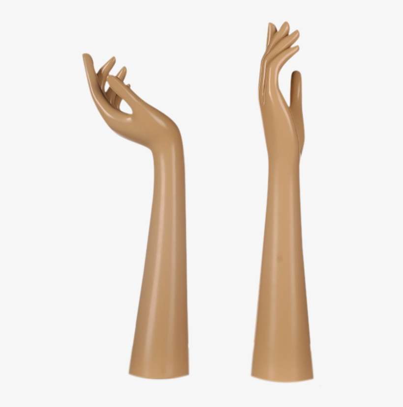 Women Left Arm And Women Right Arm PNG Image | Transparent PNG Free ...