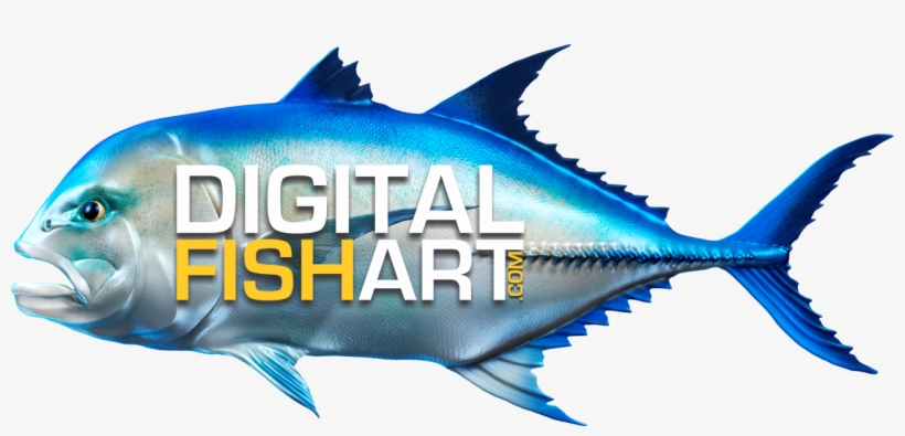 Fish Digital Art PNG Image | Transparent PNG Free Download on SeekPNG
