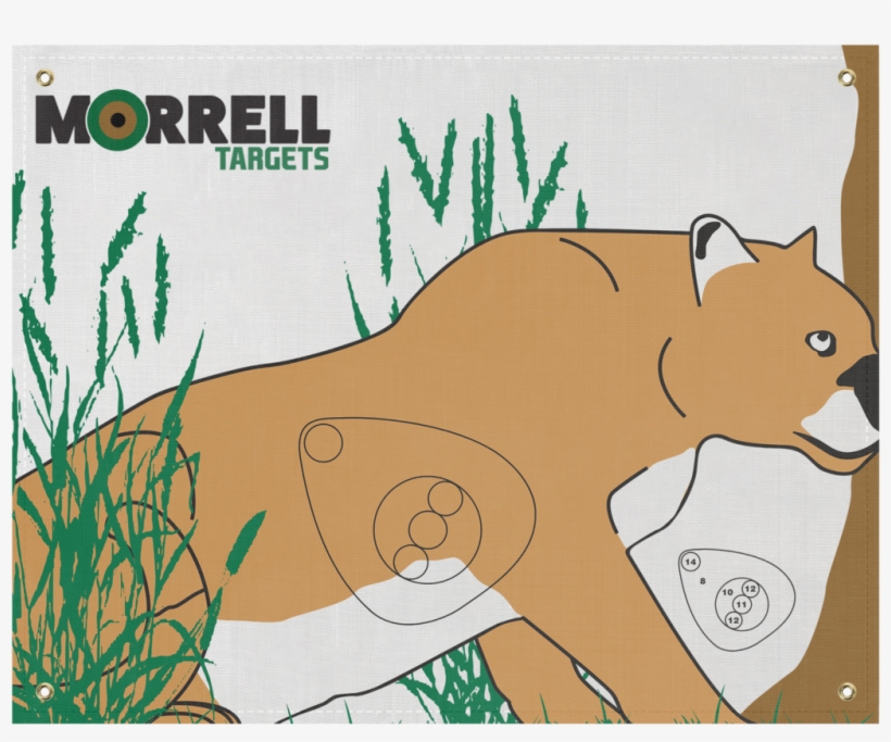 Mountain Lion Polypropylene Archery Target Face - Morrell Targets ...