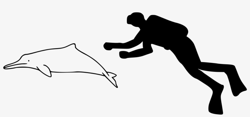 Open - Hector's Dolphin Size Comparison PNG Image | Transparent PNG ...